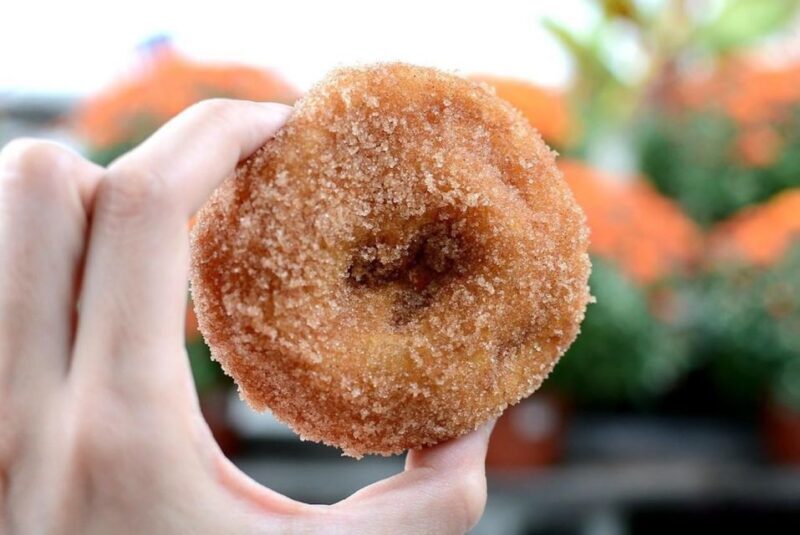 Beacon: Food & Farm Tour in the Hudson Valley - Final Thoughts