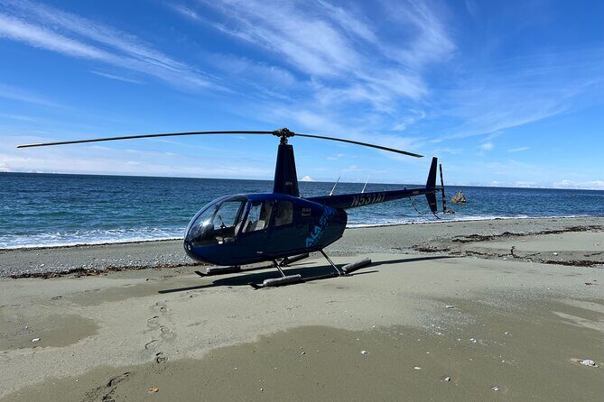Bear Glacier Helicopter Tour with Landing - Who Will Love This Tour?