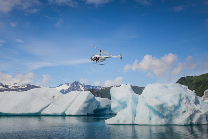 Bear Glacier Scenic Express Flight - Logistics and Practicalities