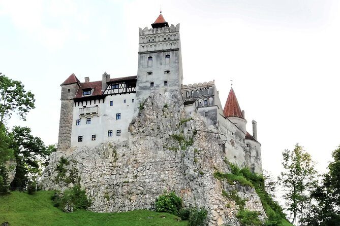 Bear Sanctuary and Dracula's Castle, 1-day Private Tour - The Sum Up