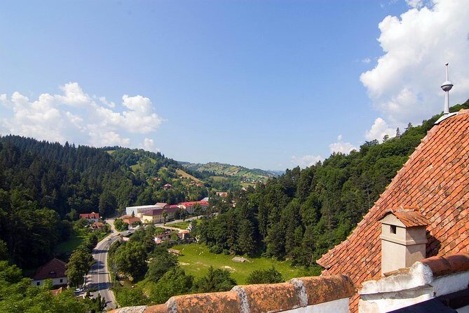 Bear Sanctuary, Bran (Dracula) Castle, Peles Castle From Brasov - Who Should Consider This Tour?