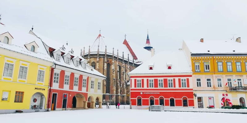 Bear Sanctuary, Dracula's Castle and Brasov | Private Tour - An In-Depth Look at the Tour Experience