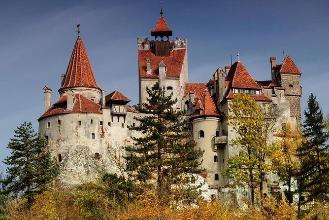 Bear Sanctuary Zarnesti,Bran Castle,Rasnov Fortres w/Hotel pickup - In-Depth Review of the Tour Experience
