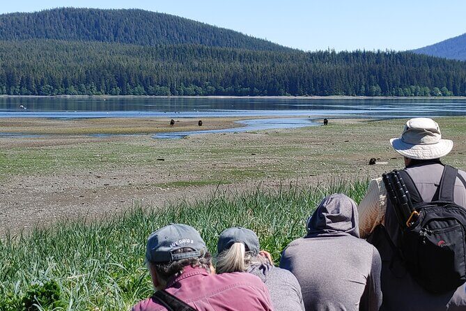 Bear Viewing at Pack Creek - FAQ