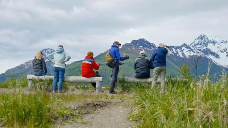 Bear Viewing Tour from Homer, Alaska - Exploring the Bear Viewing Tour from Homer, Alaska
