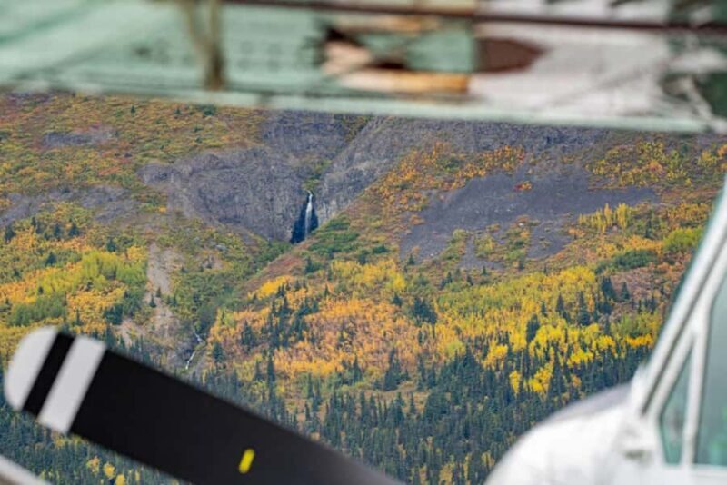 Bear Viewing Tour from Homer, Alaska - Key Points