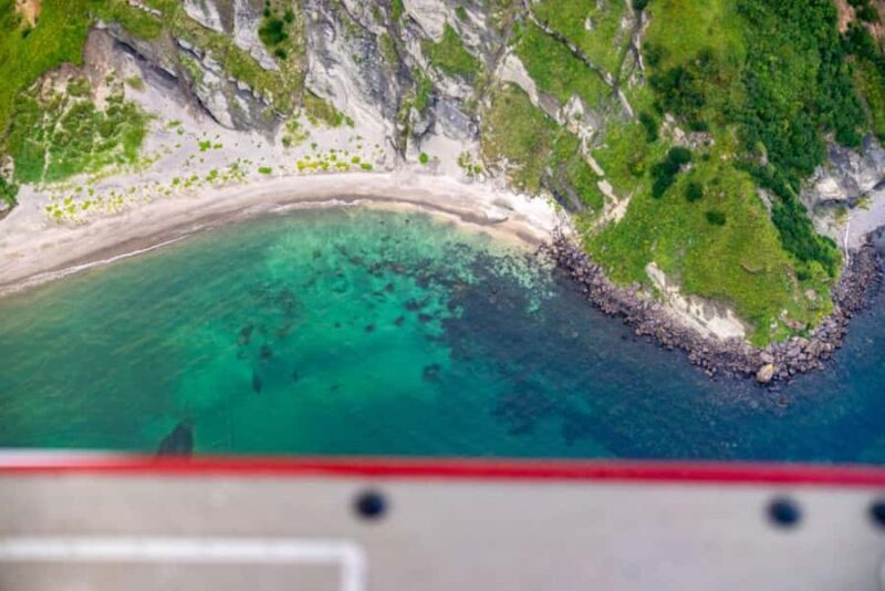 Bear Viewing Tour from Homer, Alaska - Who Should Consider This Tour?