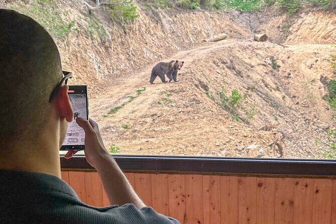 Bear Watching In Brasov: Observe Wild Bears From A Hideout (100%) - Final Thoughts: Is It Worth It?