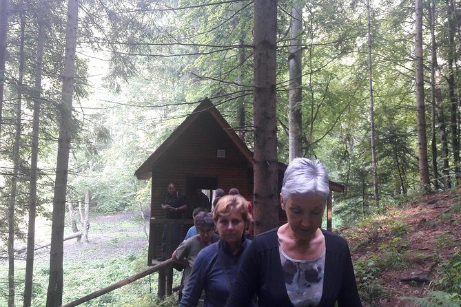 Bear Watching in The Wild from Brasov - FAQ