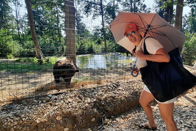 Bears Sanctuary, Dracula Castle and Poiana Brasov-Private day tour from Brasov - FAQ