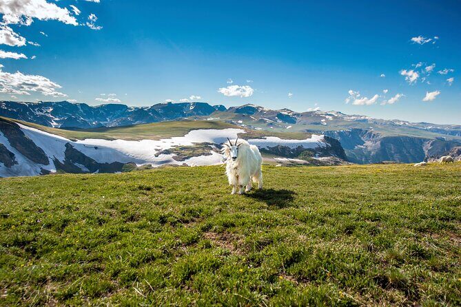 Beartooth Highway Private Half Day Tour - The Beauty of the Beartooth Highway Tour