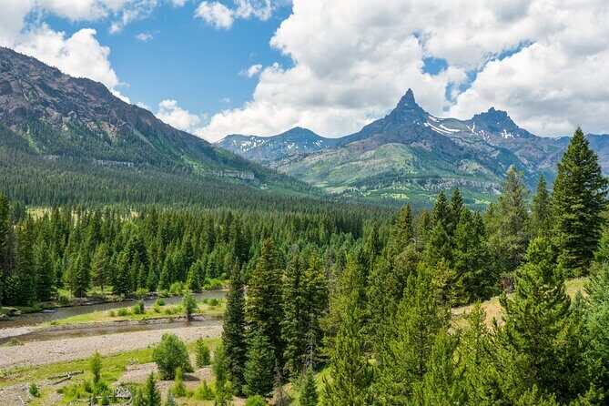 Beartooth Highway Private Half Day Tour - What Reviewers Say