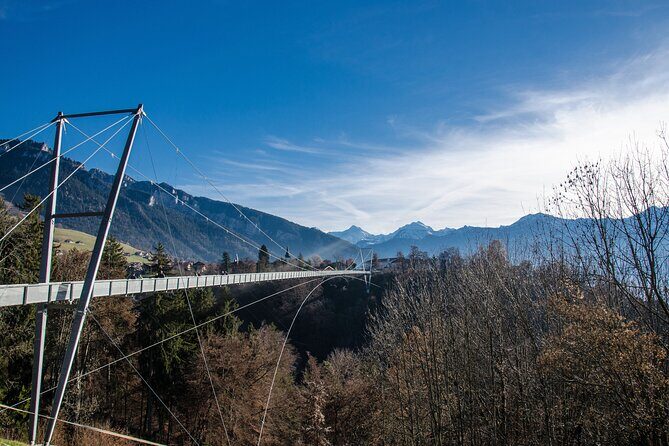 Beatus Caves, Panoramic Bridge, Nature Park Blue Lake and Lake Thun Cruise - Who Should Take This Tour?