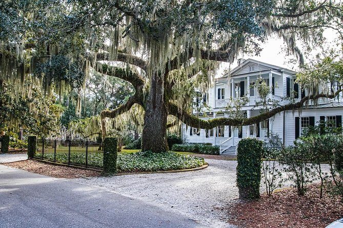 Beaufort City Minibus Tour - The Experience: Inside the Tour