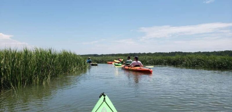 Beaufort: Guided Kayak Tour with Wildlife Viewing - An Introduction to Beaufort’s Kayak Tours