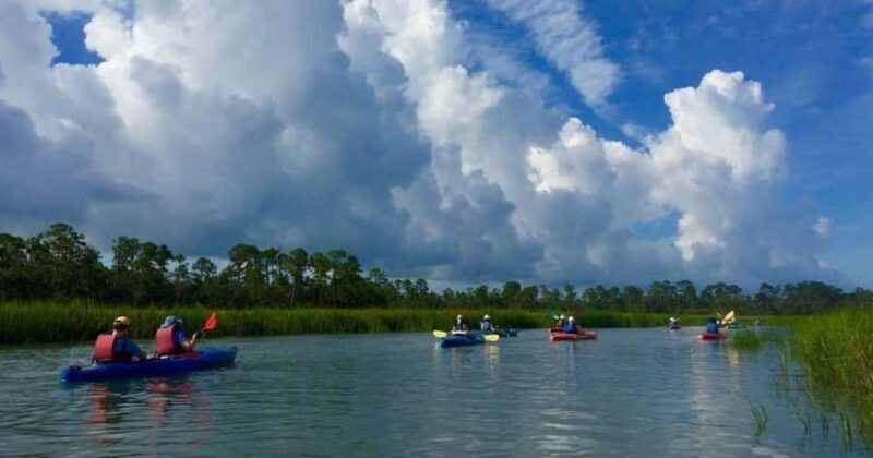 Beaufort: Guided Kayak Tour with Wildlife Viewing - Exploring the Ecosystems: What Makes Each Tour Special?