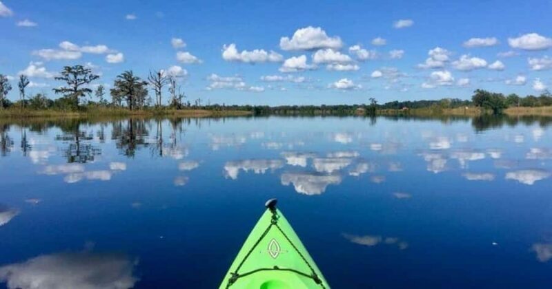 Beaufort: Guided Kayak Tour with Wildlife Viewing - FAQ