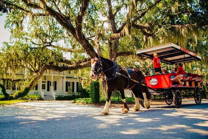 Beauforts #1 Horse & Carriage History Tour - Introduction