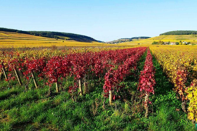 Beaujolais 100% wine tour Small-Group Tour with Tasting from Lyon - An In-Depth Look at the Tour