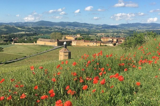 Beaujolais & Perouges Medieval Town - Private Tour - Full Day from Lyon - The Itinerary: A Closer Look