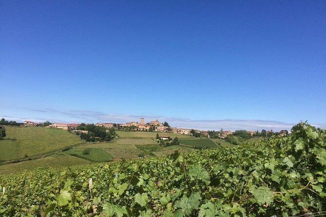 Beaujolais & Perouges Medieval Town - Private Tour - Full Day from Lyon - The Sum Up: Who Is This Tour Best For?