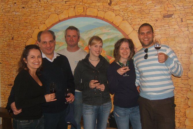 Beaujolais Wine Discovery - Half Day - Small group tour from Lyon - An Overview of the Beaujolais Experience