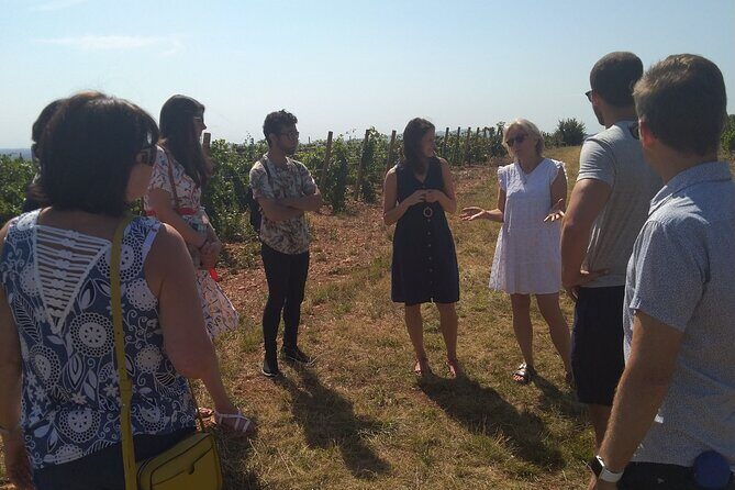 Beaujolais Wine Tour - Tastings & Gourmet Picnic Lunch - Final Words