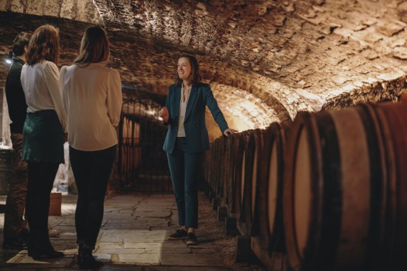 Beaune: Maison Champy Guided Cellar Tour with Wine Tasting - The Guided Experience: Knowledgeable Guides Make a Difference