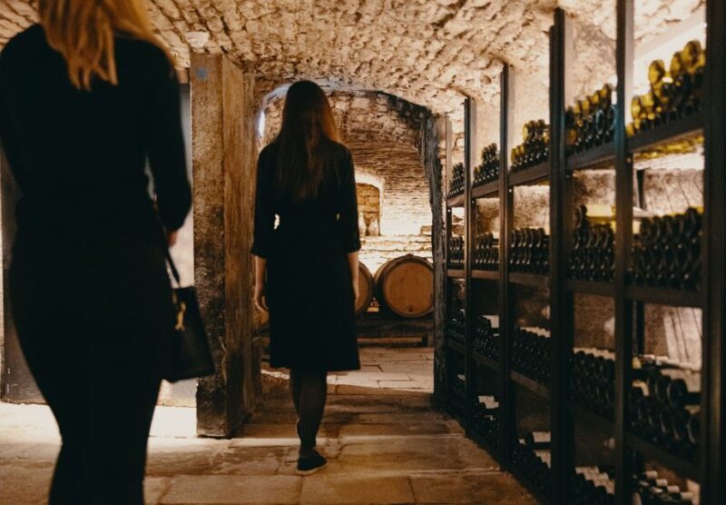 Beaune: Maison Champy Guided Cellar Tour with Wine Tasting - Accessibility & Additional Considerations