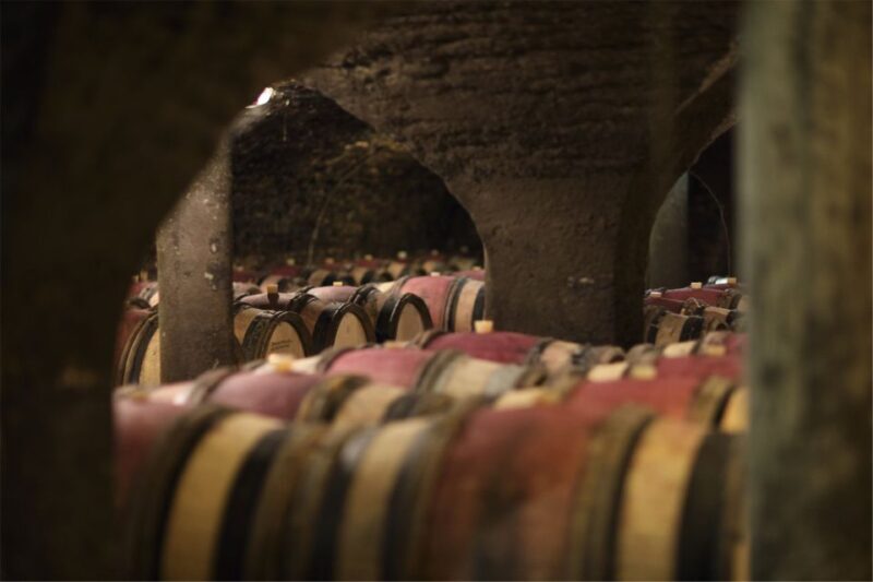 Beaune: Maison Champy Guided Cellar Tour with Wine Tasting - Who Will Love This Tour?