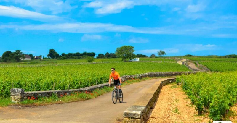 Beaune: Winery Tour by Bike with Wine Tasting - The Itinerary in Detail