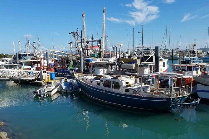 Beautiful Bowen - Beaches and Seafood - Final Thoughts: Who and Why