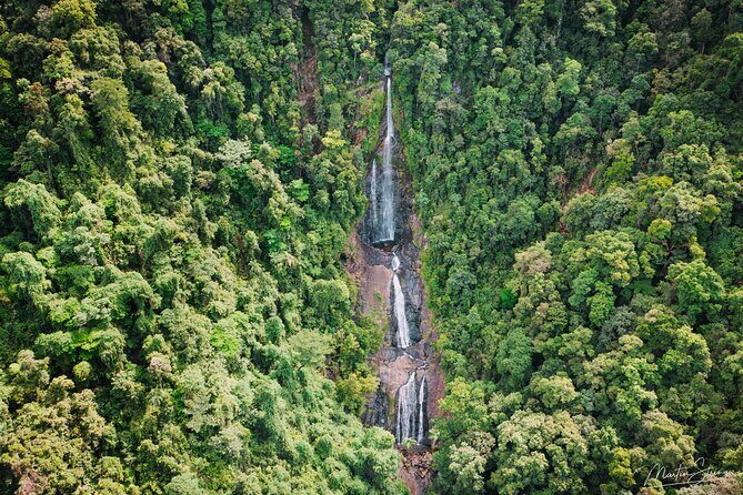 Beautiful Daintree Waterfall Walk, Magical Swim & Heavenly Lunch - The Value of Small Group & Expert Guidance