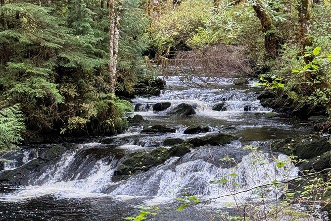 Beautiful Hike on Tongass National Forest's Lunch Creek Trail - The Sum Up: Who Will Love This Hike?