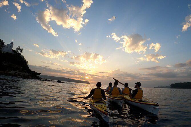 Beautiful Middle Harbour Sunriser / Guided Kayaking Private Tour - A Closer Look at the Middle Harbour Sunriser Tour