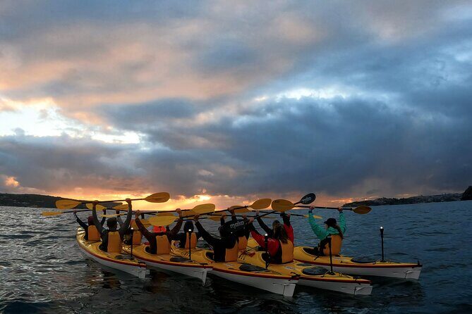 Beautiful Middle Harbour Sunriser / Guided Kayaking Private Tour - Who Will Love This Tour?