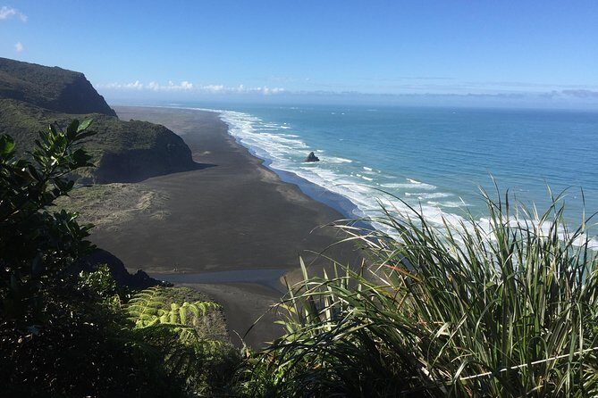 Beautiful Nature Tours Auckland - Private Tour - Introduction: Why This Tour Might Be Your Best Auckland Escape