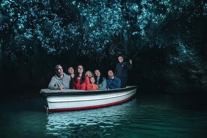 Beautiful Nature Tours Auckland - Private Tour - Who Should Consider This Tour?