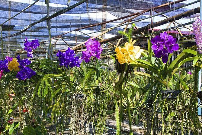 Beautiful Phuket City Tour - Who Should Consider This Tour