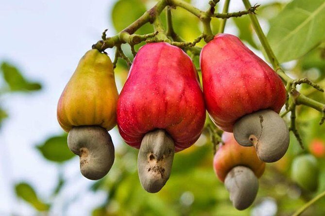 Beautiful Phuket City Tour - The Sum Up