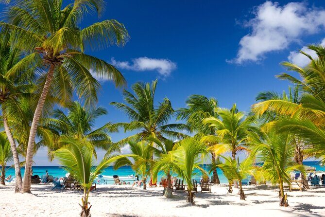 Beautiful Saona Island - Key Points