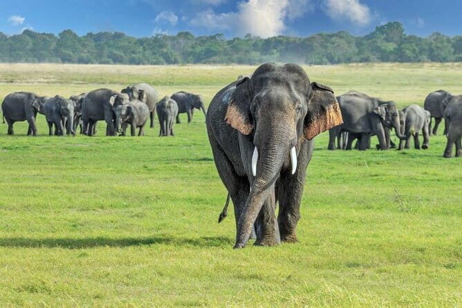 Beautiful Sri Lanka - 6 Days Tour (Colombo-Sigiriya-Kandy -Galle) - Frequently Asked Questions (FAQs)