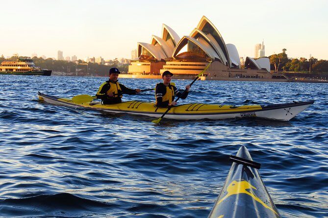 Beautiful Sydney Harbour Breakfast Kayaking Tour - Introduction