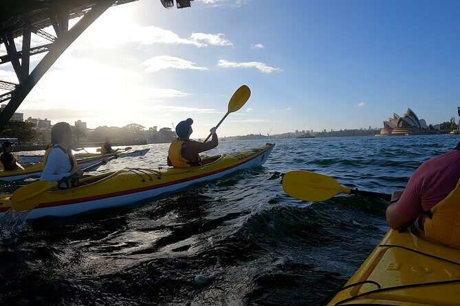 Beautiful Sydney Harbour Breakfast Kayaking Tour - The Practicalities: What You Need to Know