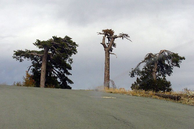 Beauty, Nature and Charm of Troodos Mountains from Paphos - An Authentic Day in Cyprus: Exploring Troodos Mountains