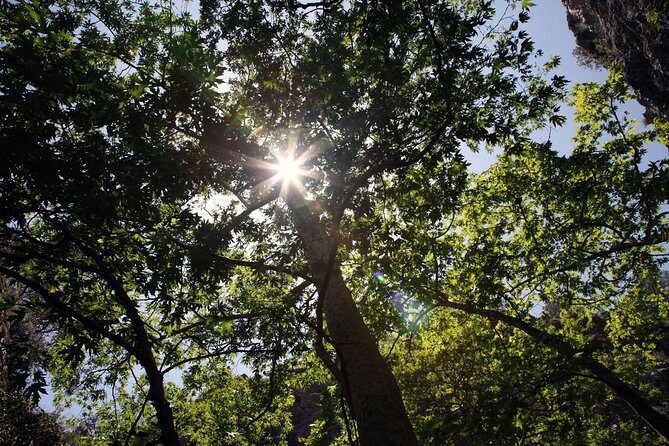 Beauty, Nature and Charm of Troodos Mountains from Paphos - In Short