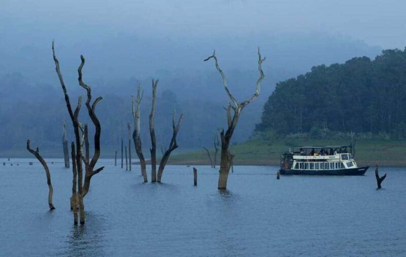Beauty of Nature, Cochin with Periyar Wildlife Tour(04 Days) - Final Thoughts
