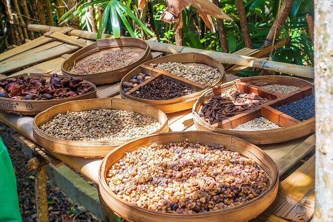 Beauty of Ubud, Rice Terrace, Temple, Monkey Forest, Waterfall - FAQs