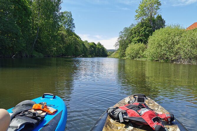 Beaver Safari on Stand up paddleboard in Hokksund - The Sum Up: Why This Paddleboard Safari Stands Out