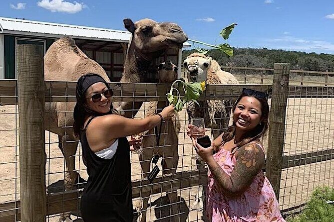 Become a Ranch Hand for a Day in Fredericksburg - An Up-Close Look at the Ranch Hand Experience